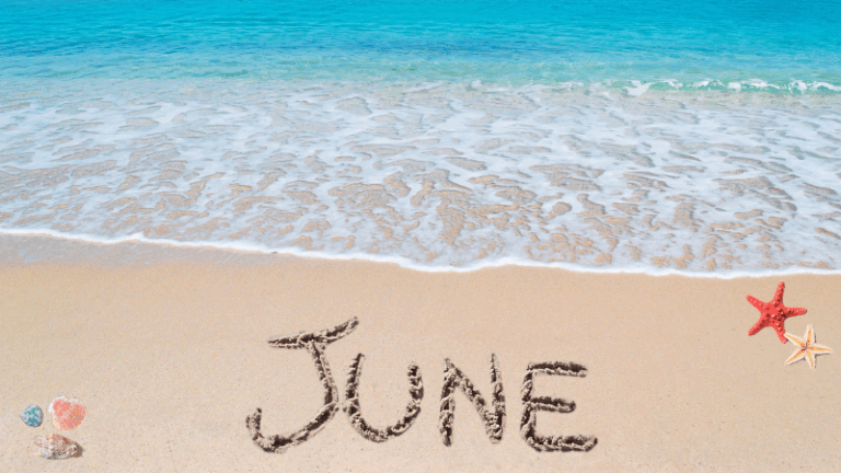 June Highlights: Empowering Our Community Through Food, Fitness ...
